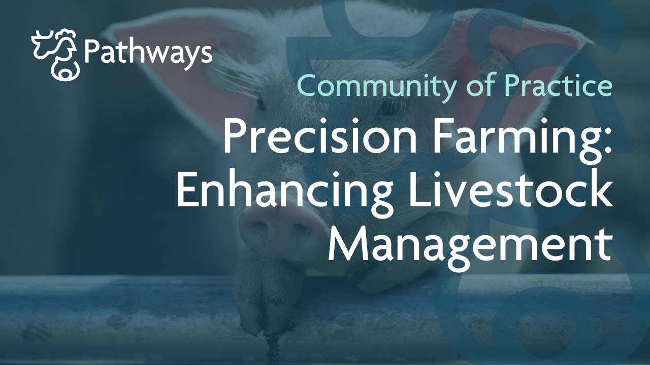 Precision Farming: Enhancing Livestock Management - Webinar | PATHWAYS ...