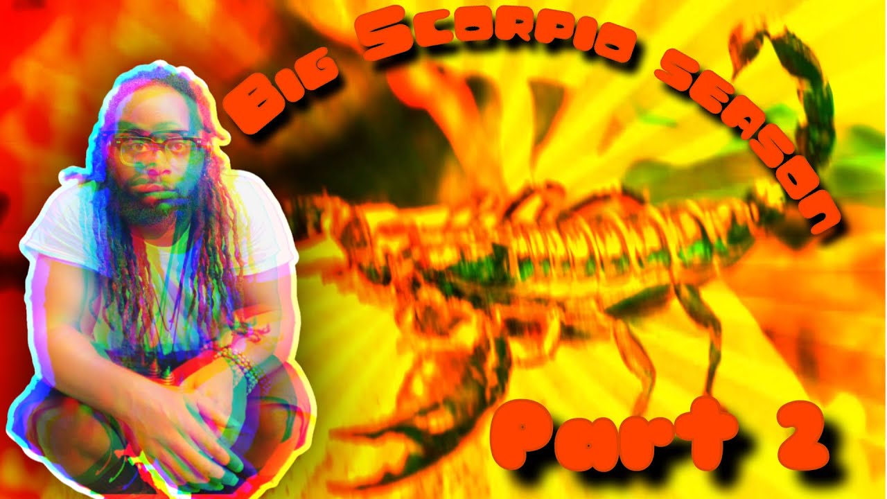 ♏️(BIG SCORPIO SEASON PART 2) 3 Evolutionary Stages Of Scorpio♏️ - YouTube