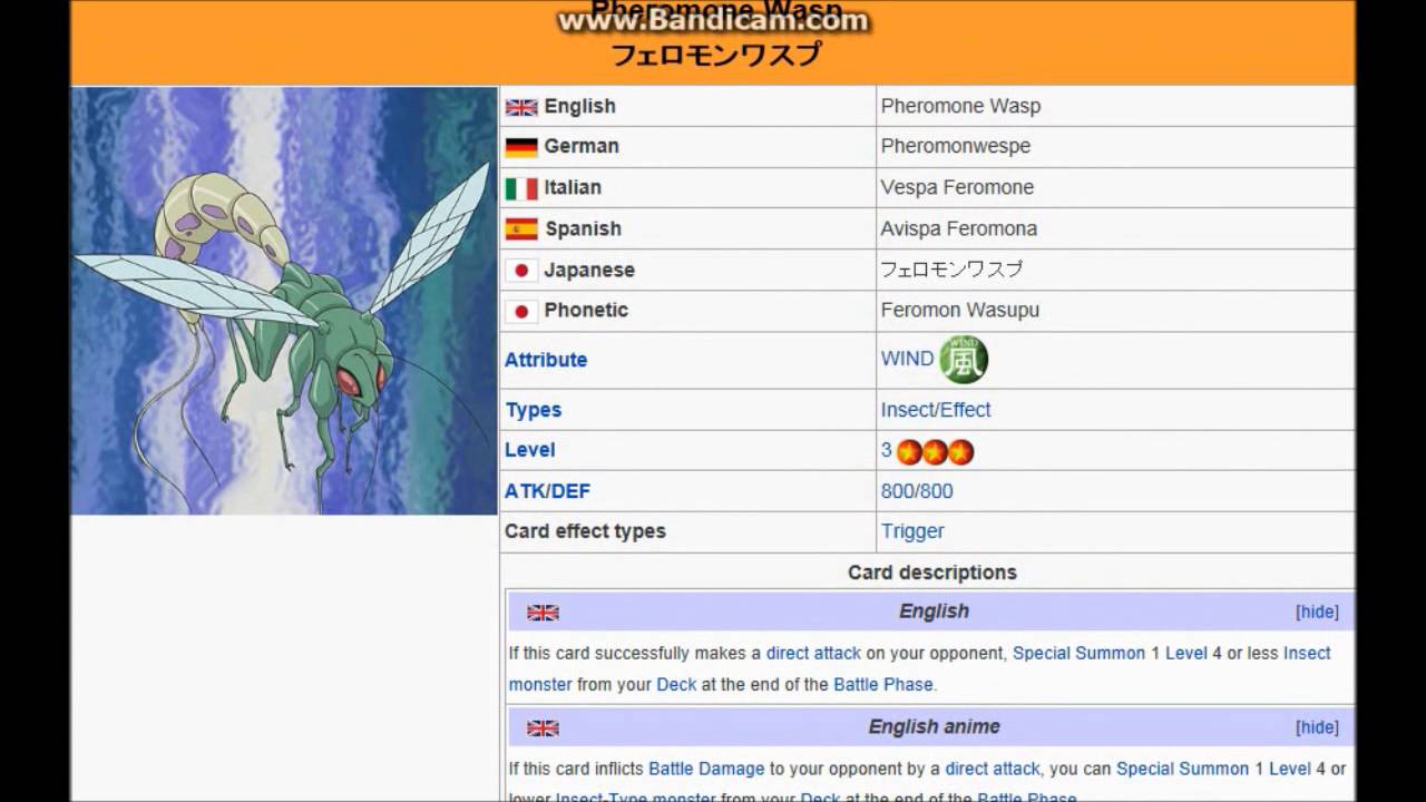 YuGiOh 101: Anime & Video Game Only: Rebirth Judgment, Pheromone Wasp ...