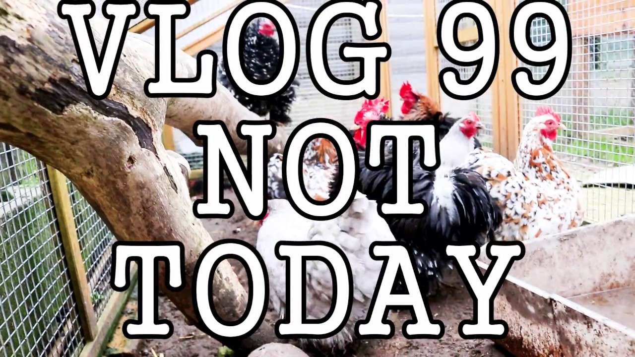 VLOG 99 - YouTube