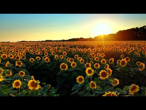 浜田省吾『MARIA feat. ORIGA』 (2022 Version / Music Video)