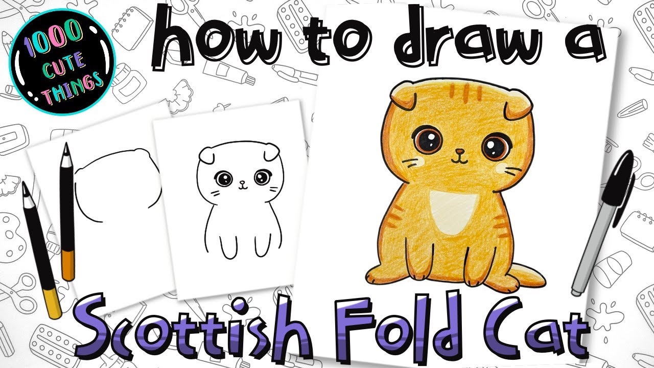 HOW to DRAW a CAT (Scottish Fold). Easy and cute!! - YouTube