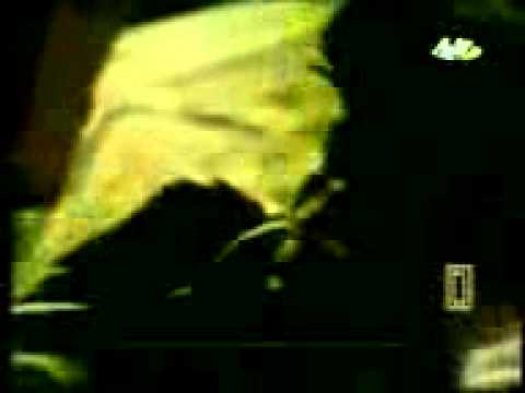 Aliaga Vahid Qezelxan mp4