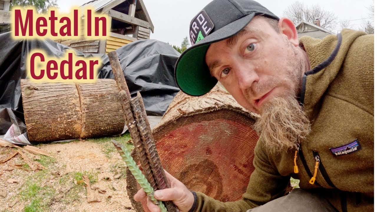 Collecting Metal In Cedar Rounds - YouTube