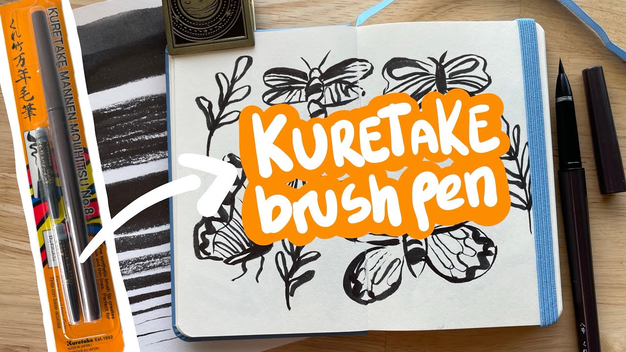 Kuretake Fountain Brush Pen TAKUJO (No.8) Best for ink drawing? 🖊️ ...