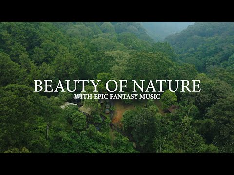 BEAUTY OF NATURE 4K VIDEO with AMBIENT BACKGROUND MUSIC FREE NO COPYRIGHT