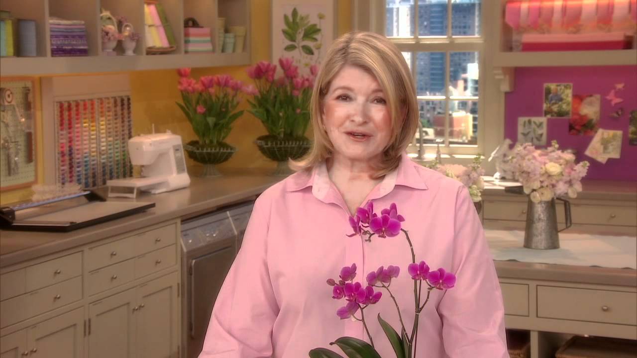 Martha Stewart Good Thing