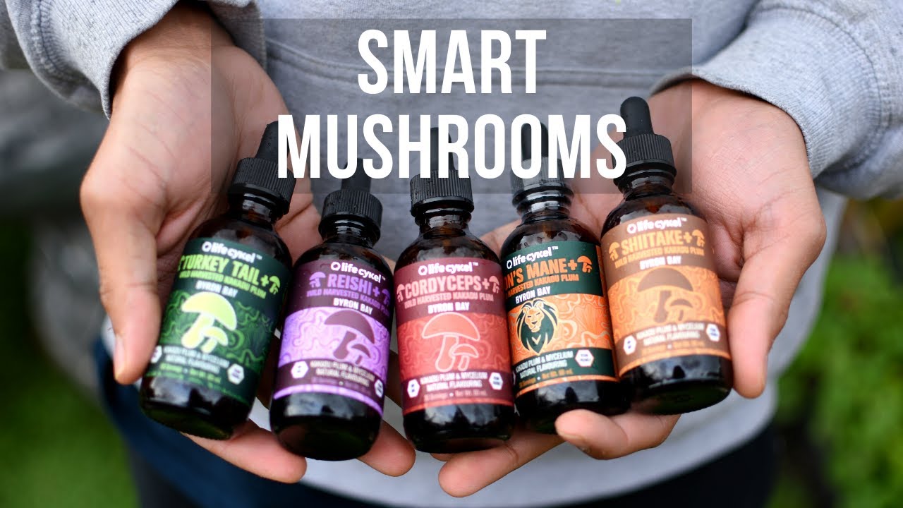 How Smart Mushrooms Can Unlock Your Full Potential | VLOG 9 - YouTube