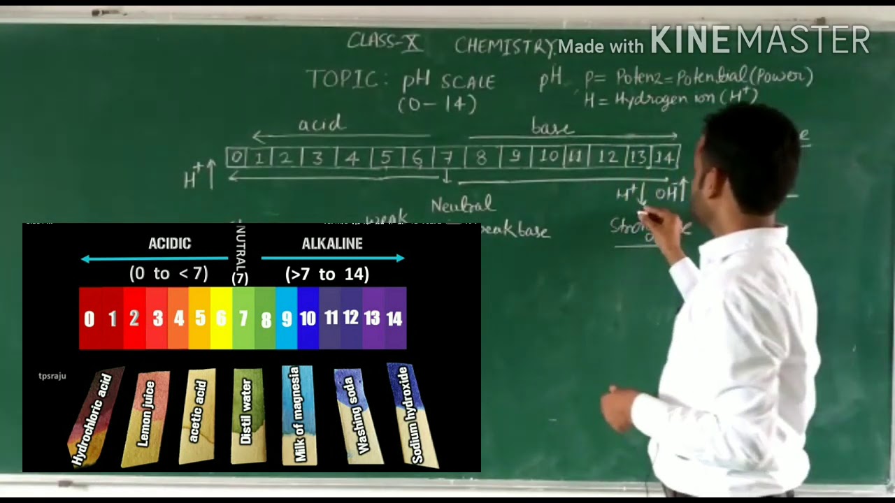 pH Scale. Class 10th chemistry - YouTube