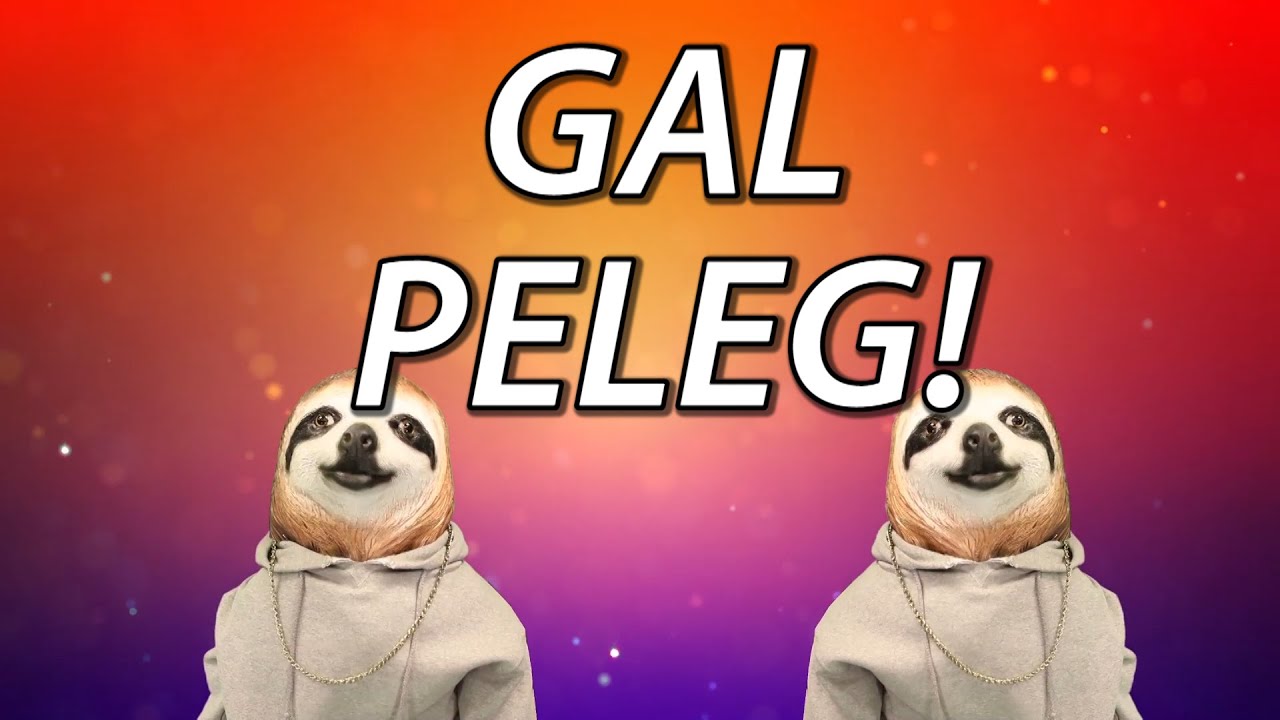 HAPPY BIRTHDAY GAL PELEG! - SLOTH Happy Birthday Rap - YouTube