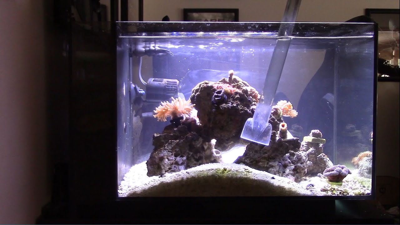 Performing A Saltwater Tank Water Change - YouTube
