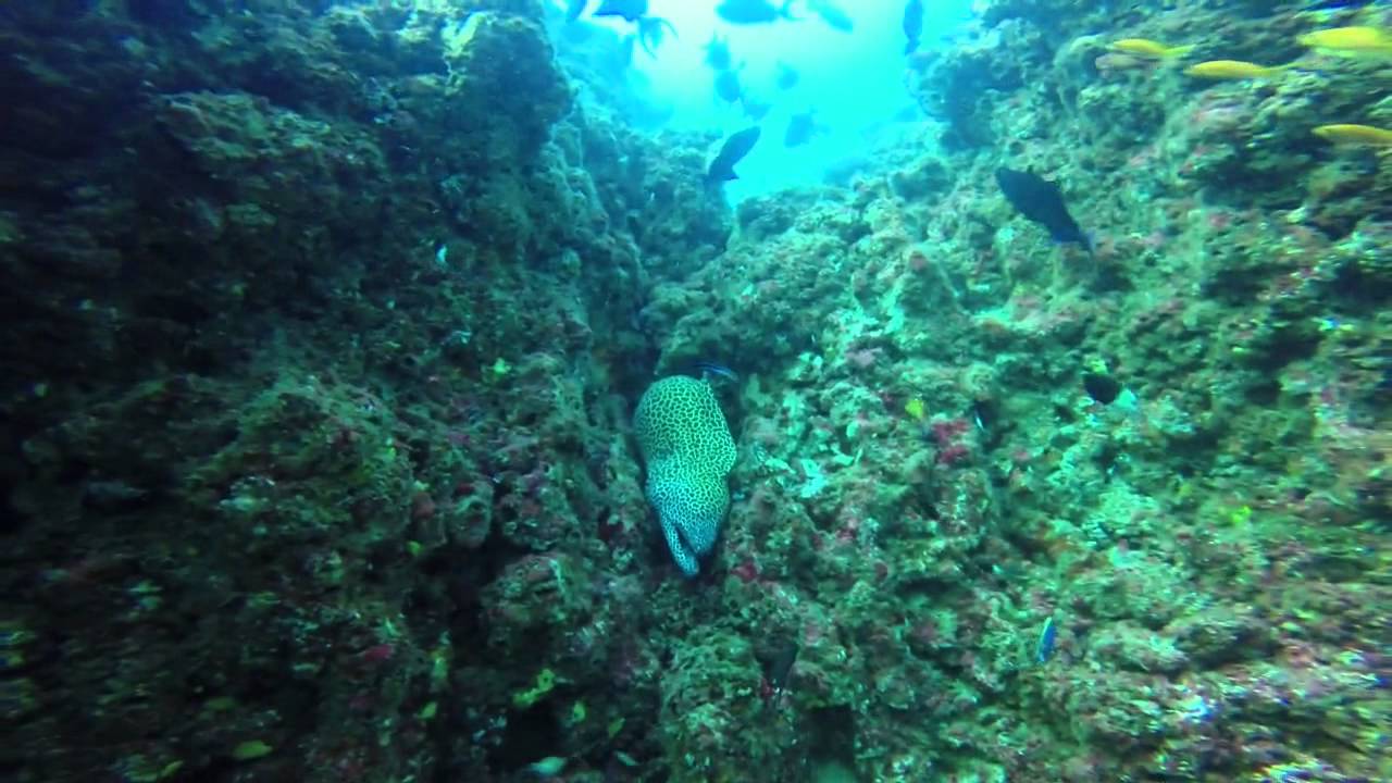 June 2014 Guinjata Bay - YouTube