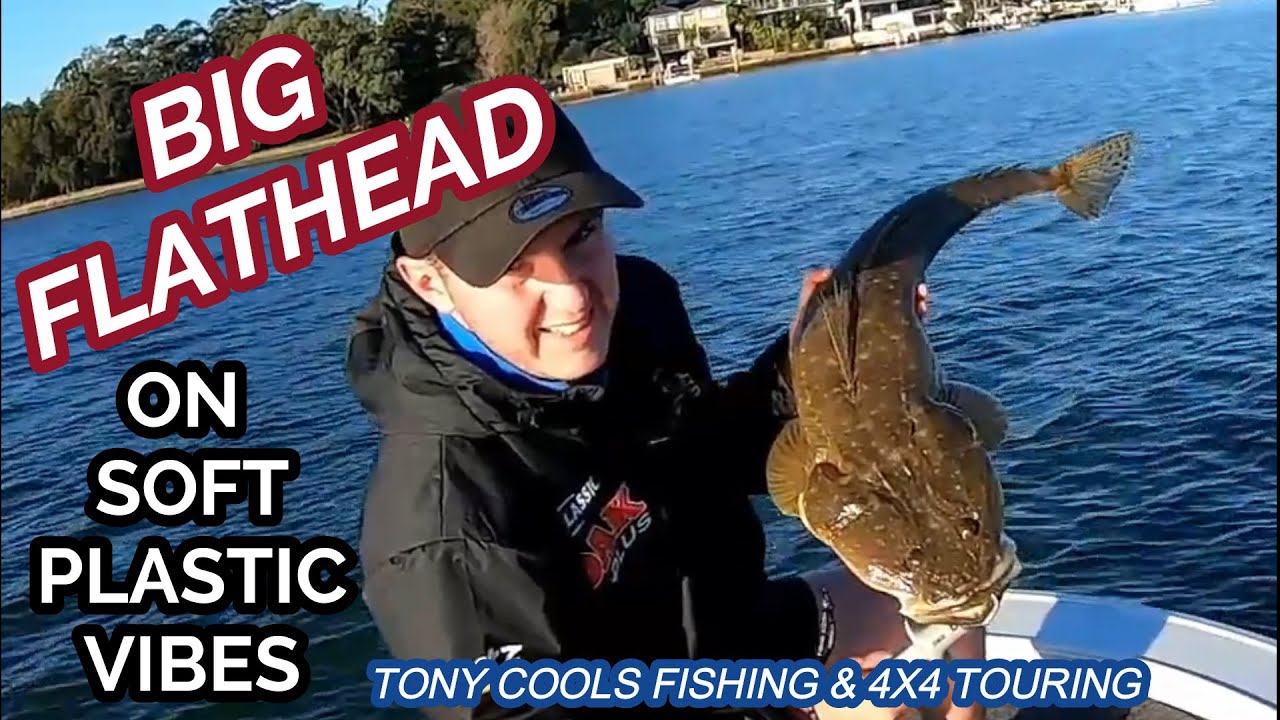 BIG 83 CM FLATHEAD ON SOFT PLASTIC VIBES FISHING SYDNEY HARBOUR ESTUARY ...