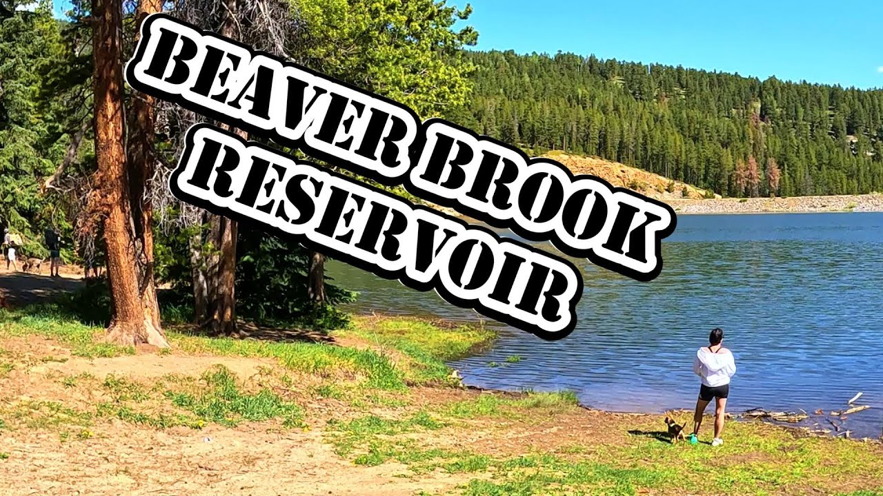 The Amazing Beaver Brook Reservoir - YouTube