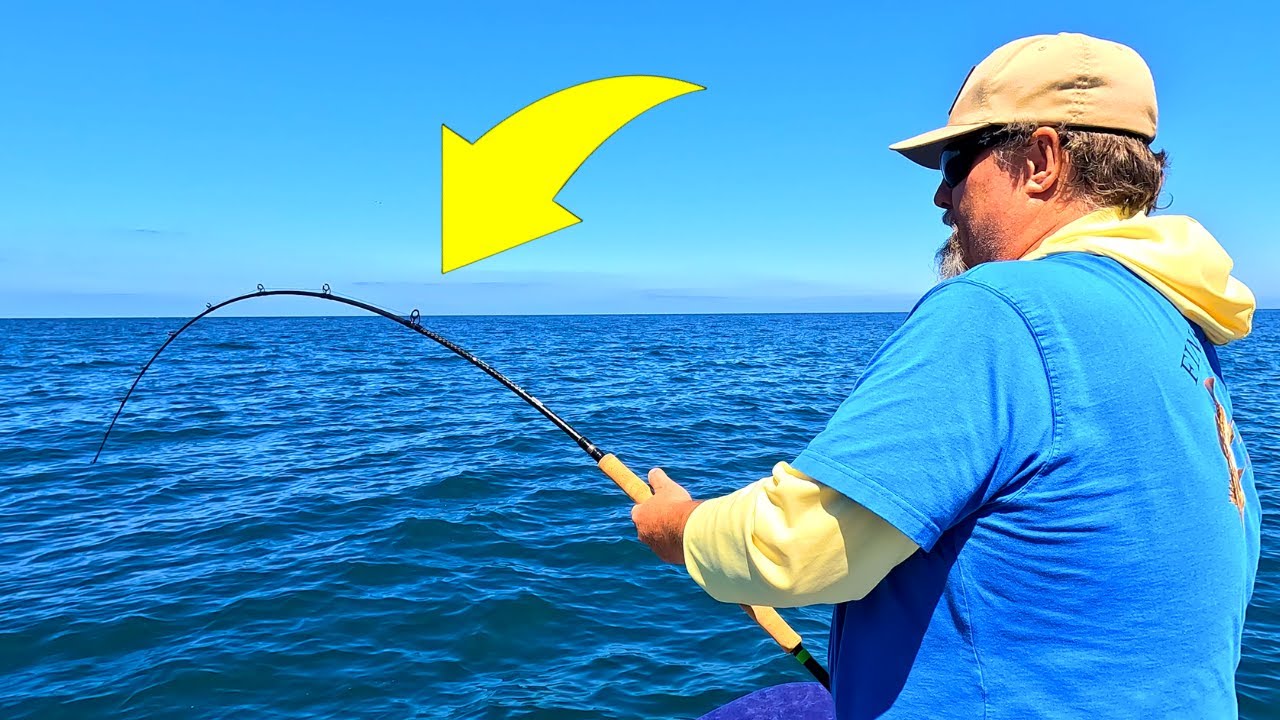 Catching HUGE Yellowtail at Cedros Island! - YouTube