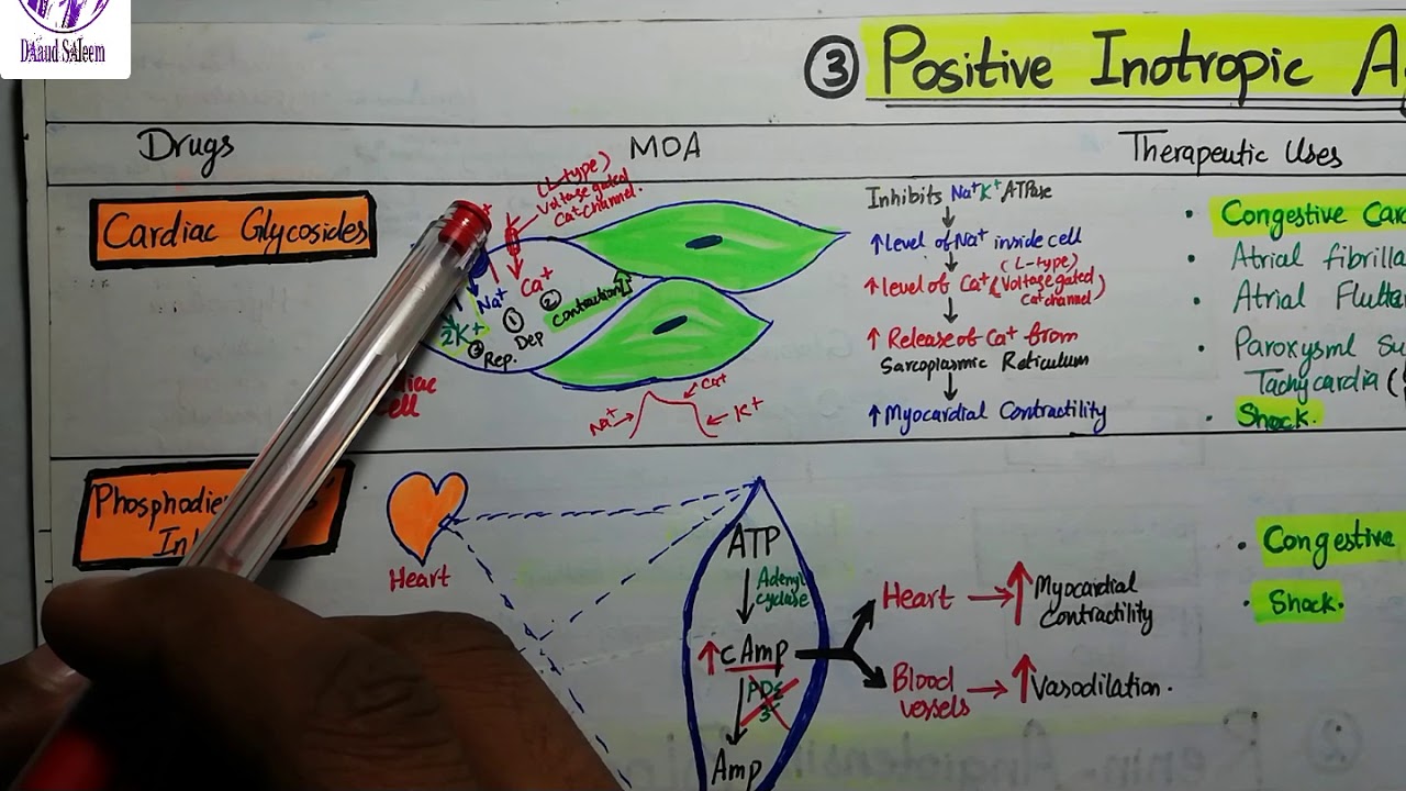 05 Positive Inotropic Agents Classification/MOA/Quiz/CVS ...