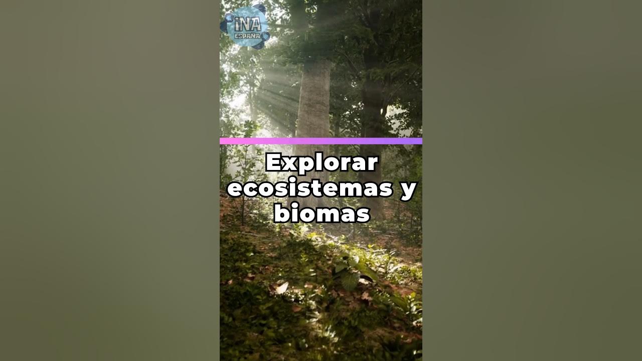 Explora los ecosistemas y biomas: ¡cómo sustentan la vida en la Tierra! 🌿🌍 - YouTube