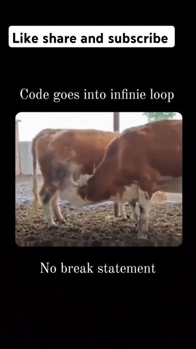 Code Goes In Infinite Loop 😨codingytshortsindiacodeing Viralvideocodinglover