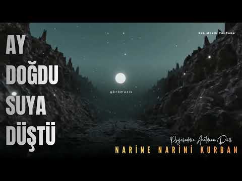 Narine Narine Hayran | Psychedelic Anatolian Drill (Mrc Music)
