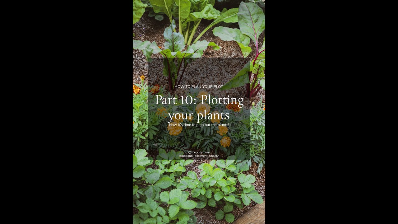 How to Plan your Plot: Lesson 10 - Plotting out your Plants - YouTube
