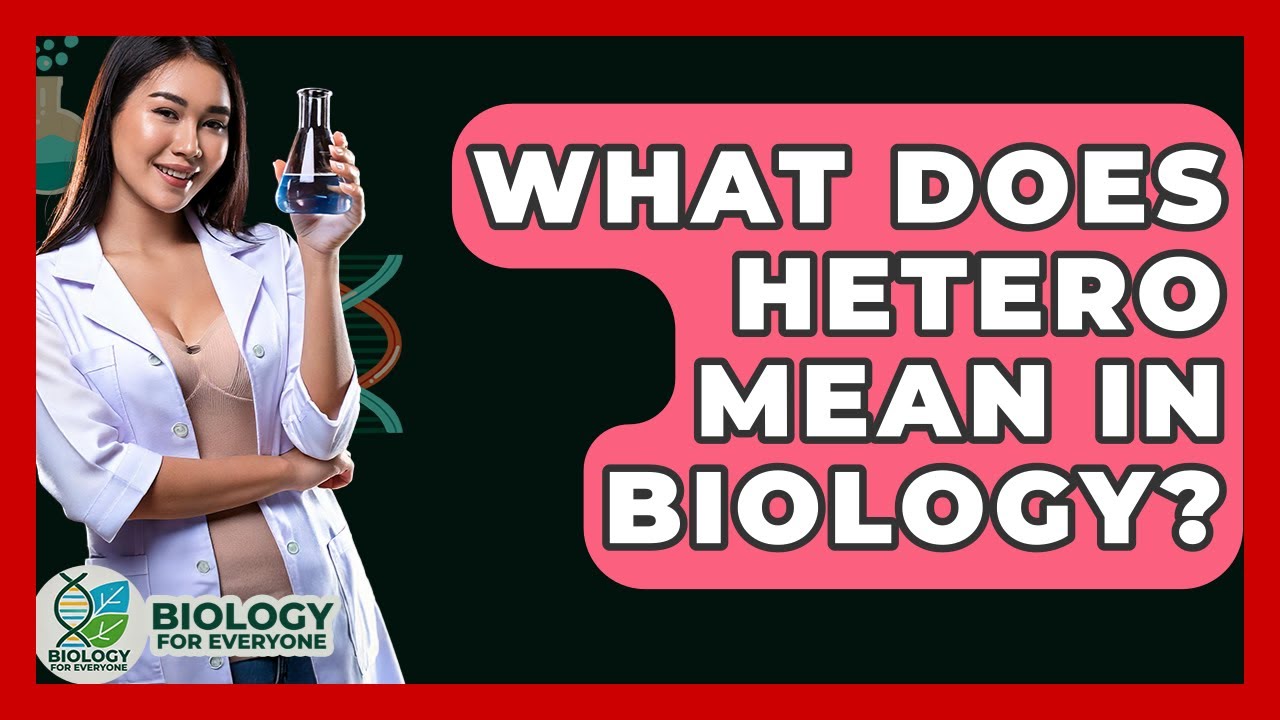 What Does Hetero Mean In Biology? - Biology For Everyone - YouTube
