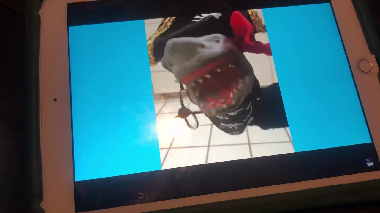 Shark puppet compilation part 1 - YouTube