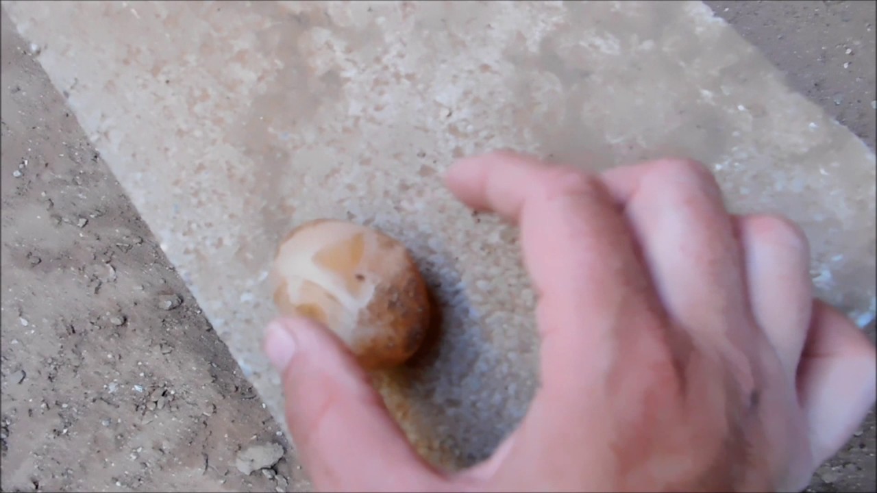Chicken lays egg with no shell! - YouTube