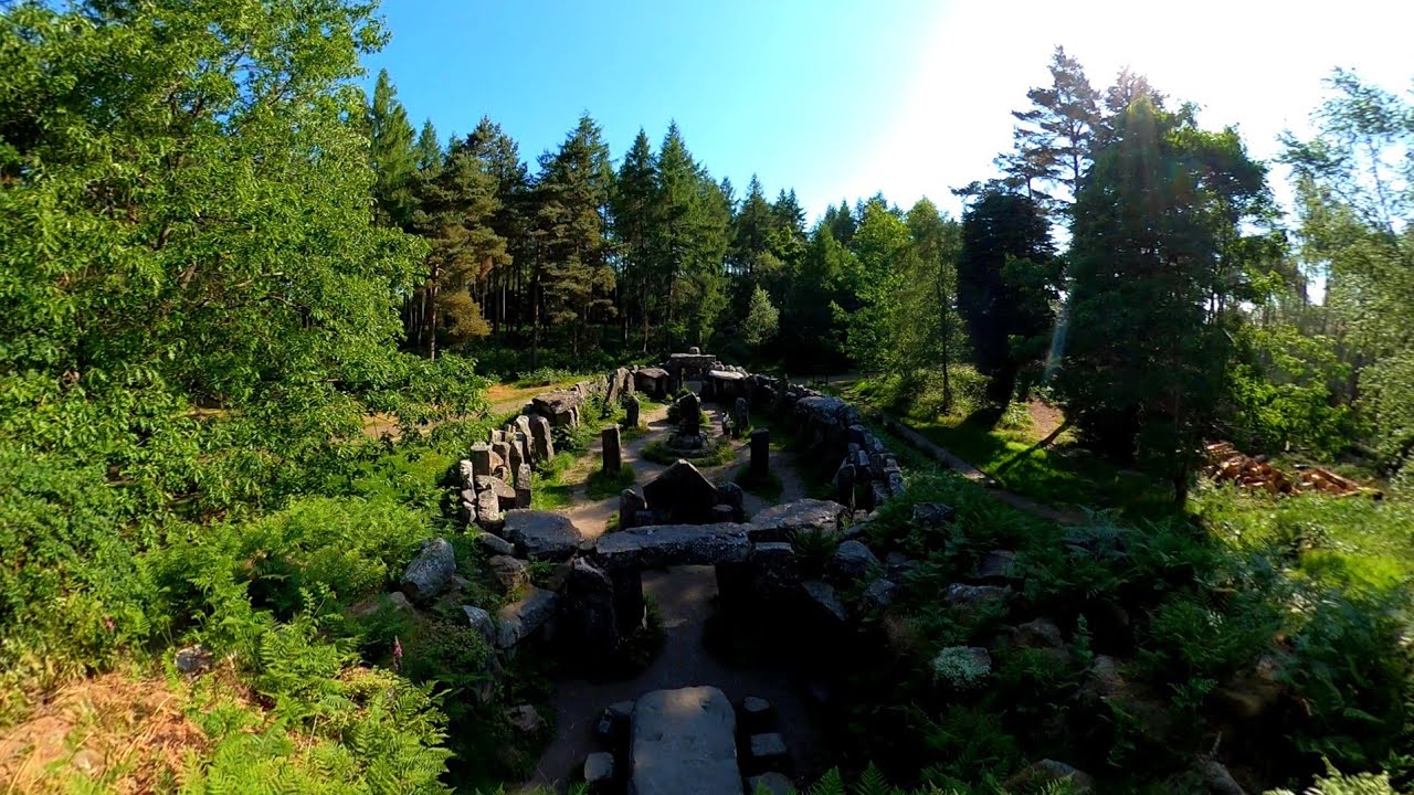 You wont believe what we found hidden in these woods - The Druids ...
