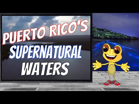 Puerto Rico's Three Bioluminescent Bays