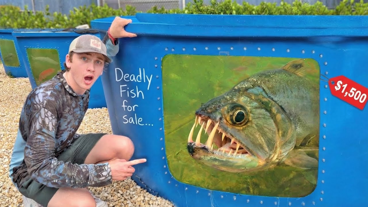 I Bought the World’s SCARIEST Aquarium Fish! - YouTube