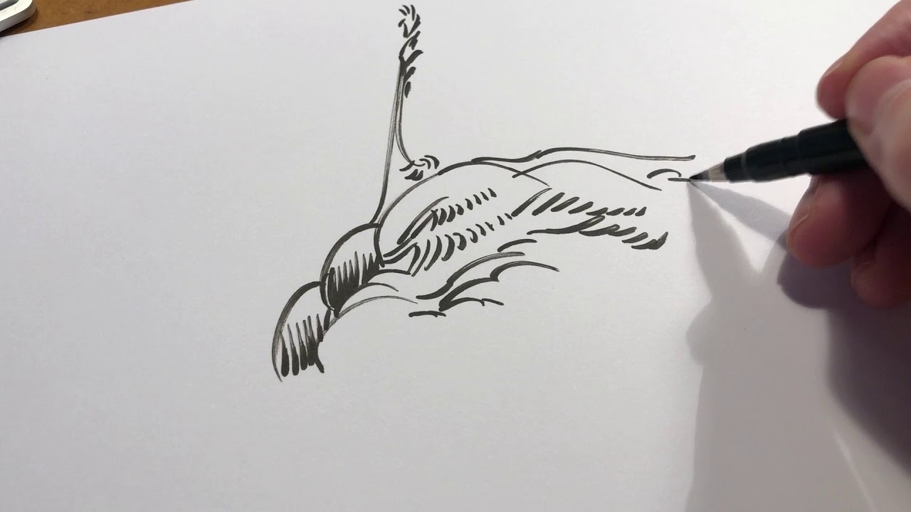 Doodle or automatic drawing demo - YouTube