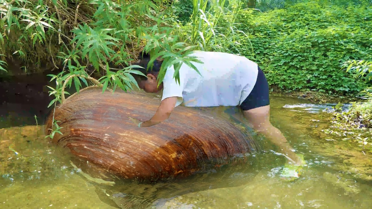 Uncover the mystery of mother clams incubating pearls! How did it ...