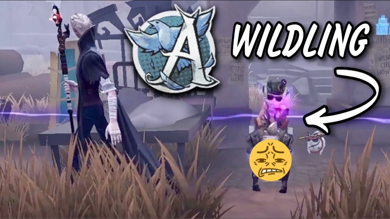 Certified (A) Badge Wildling Performance in Rank | Identity V - YouTube