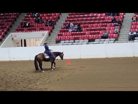 Jen and Luna Level 1 Amateur Horsemanship AQHA Congress Champions Oct 14 2022(1)