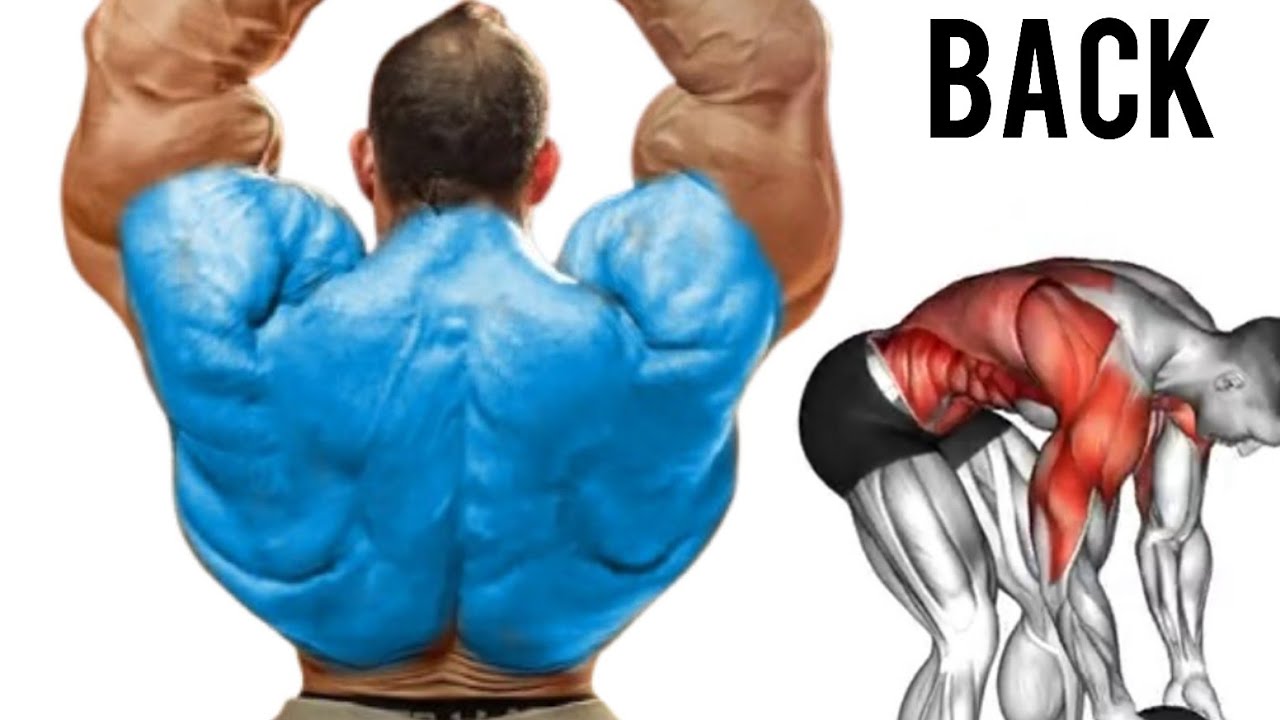 Best V Shape Back Workout Gym You Need - YouTube