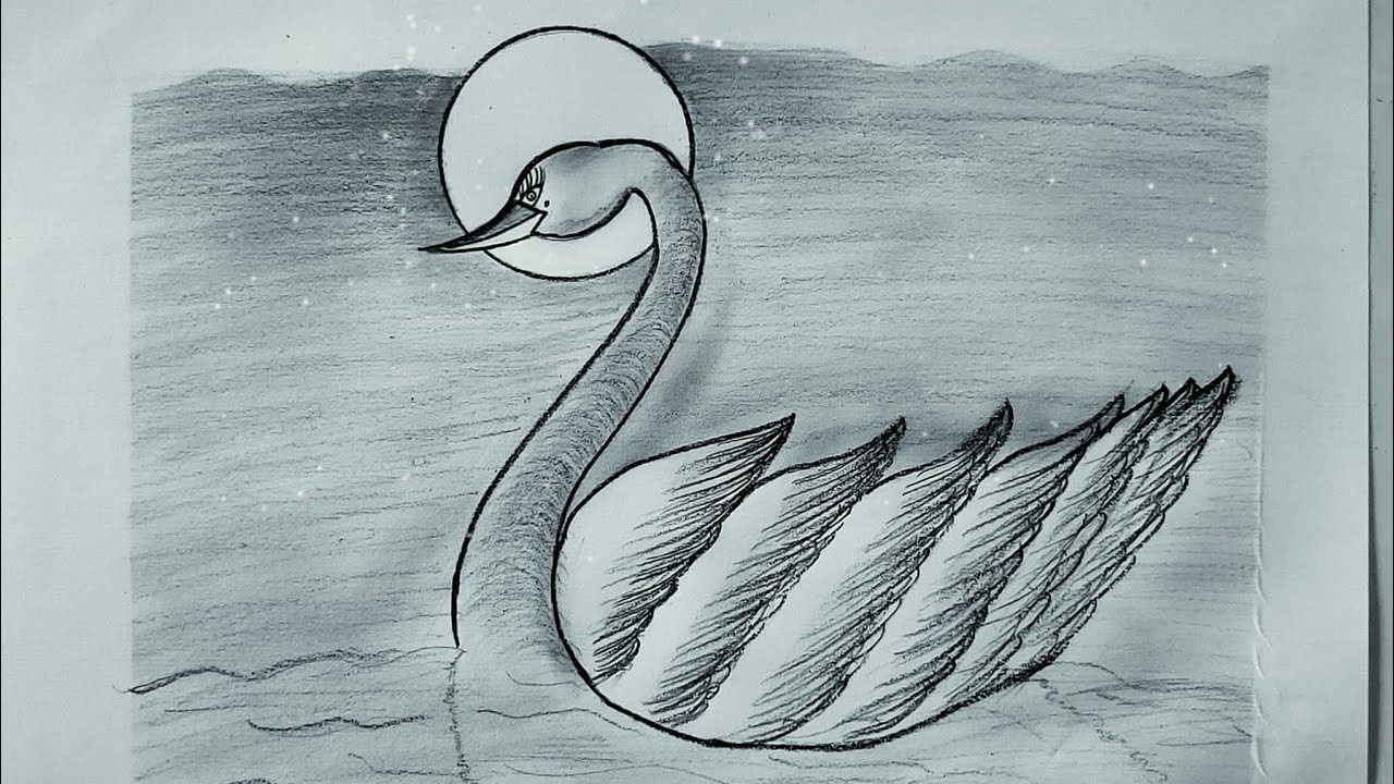 swan drawing easy||nature sun and swan drawing||how to draw a realistic ...