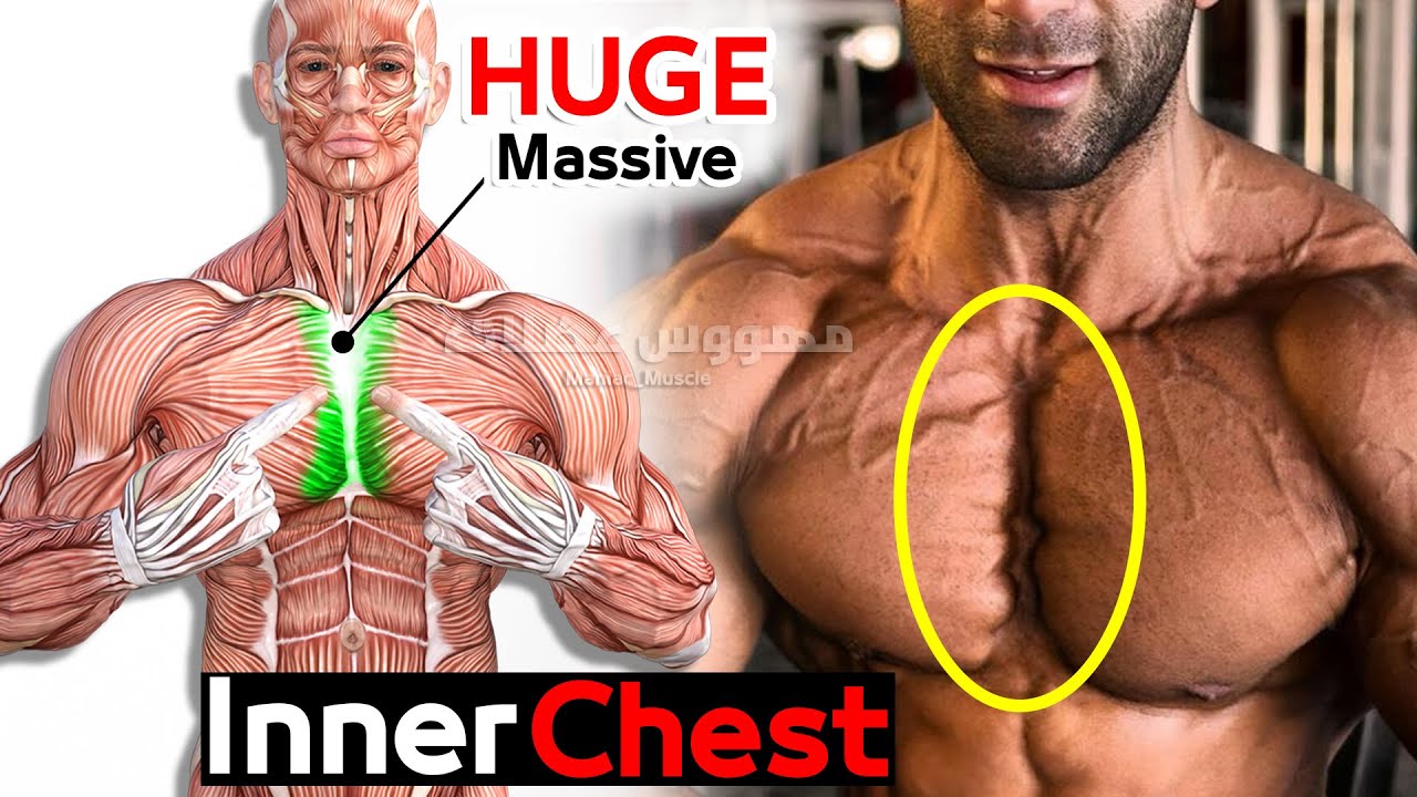 BEST WORKOUT INNER CHEST 🔥 - YouTube