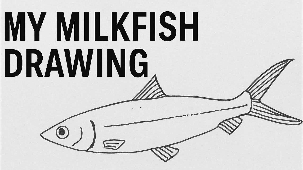 my milkfish drawing - YouTube