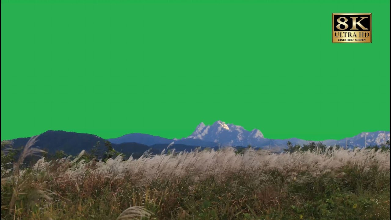 Hills with grass green screen video download - YouTube