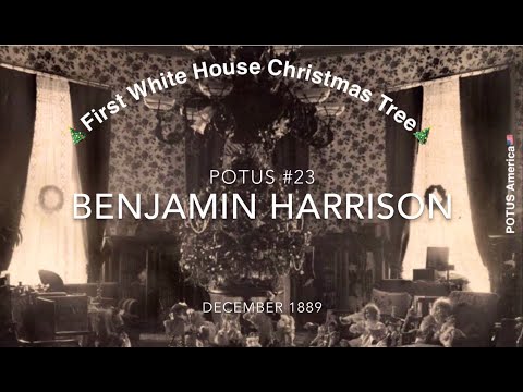 First POTUS w-Christmas Tree in White House?🎄🇺🇸🎅🏻 - YouTube