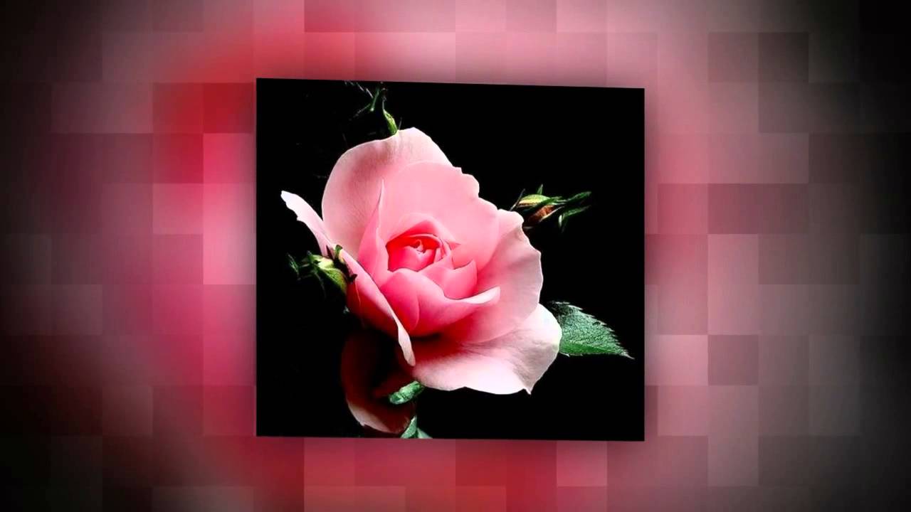 Sufficient For Me - Scott Cunningham Band - YouTube