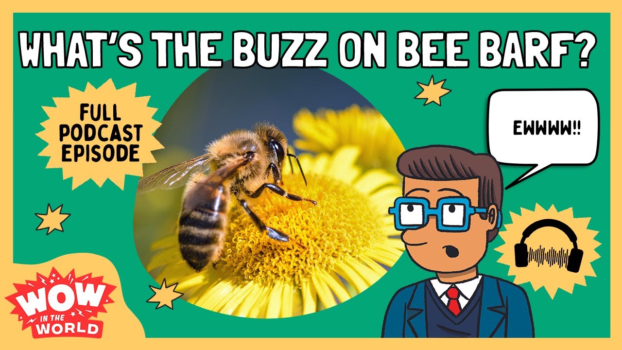 What's the Buzz on Bee Barf?! | Wow in the World | Kids Podcast Episode ...