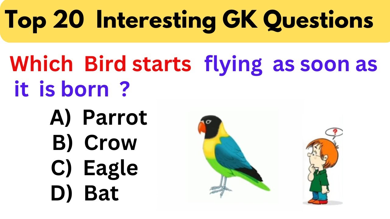 top 20 interesting gk question and answer | important gk questions | gk ...