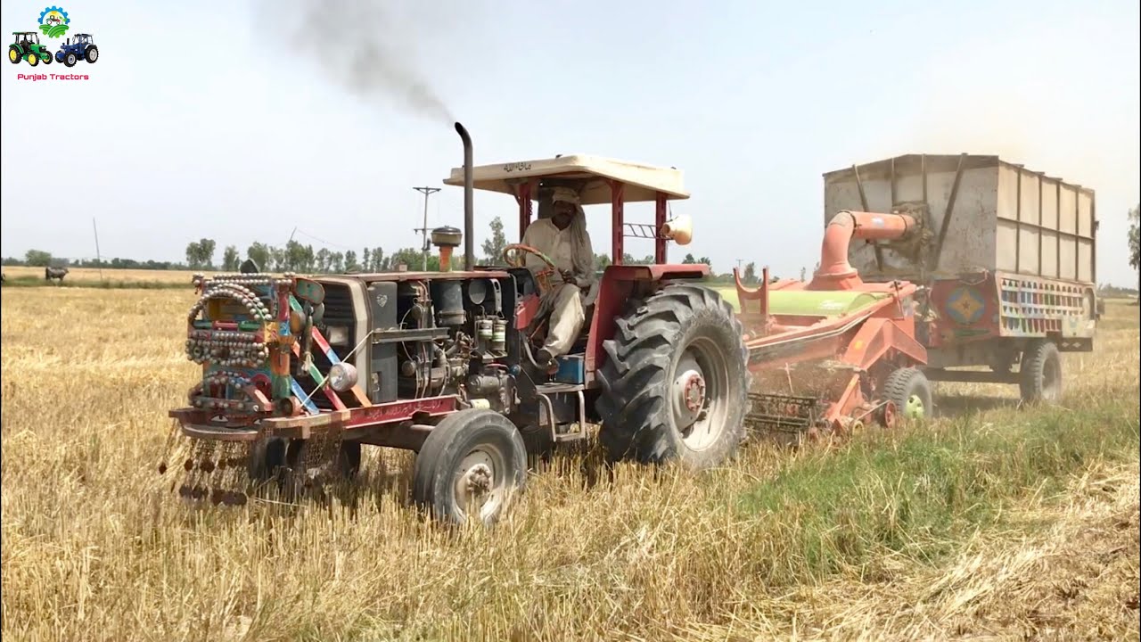 Massey Ferguson 385 | Umar Wheat Straw Chopper | PTO Power of Massey ...