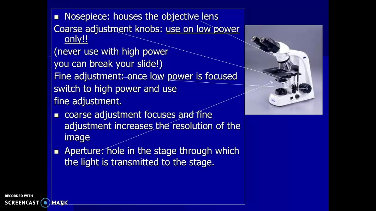 Measuring with the microscope Video lecture - YouTube