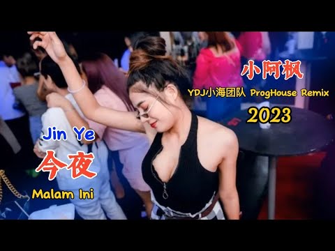 小阿枫 - 今夜 - (YDJ小海团队 ProgHouse Remix 2023) - Jin Ye - Malam Ini #dj抖音版2023 - YouTube