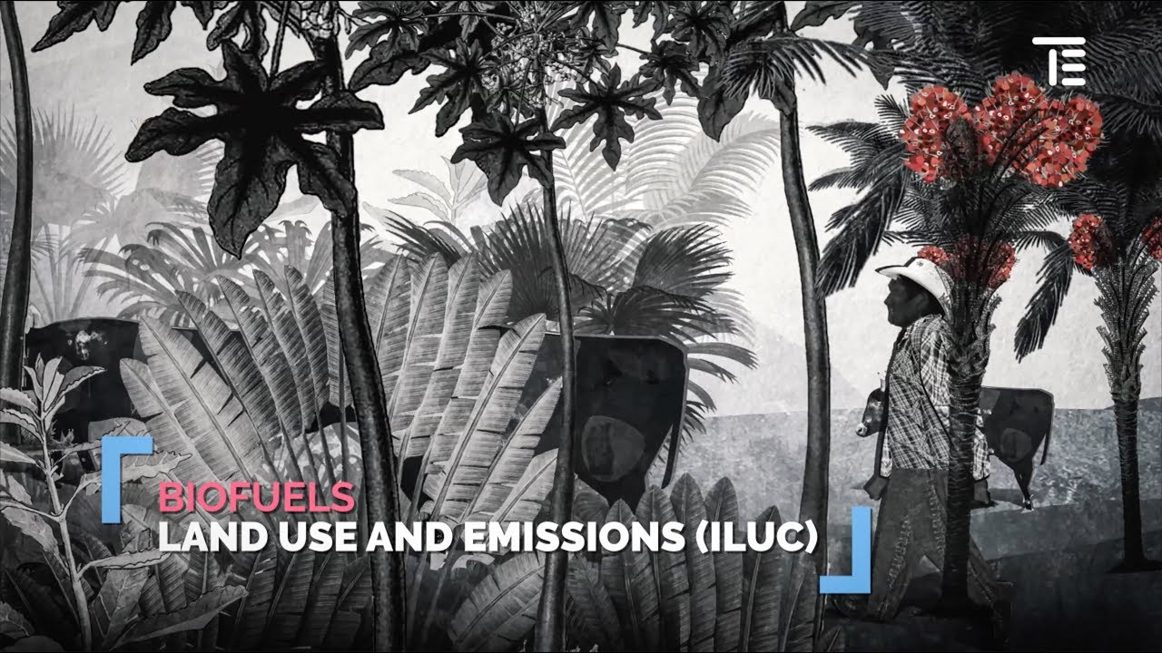 Biofuels: Land use, deforestation and emissions (ILUC) - YouTube