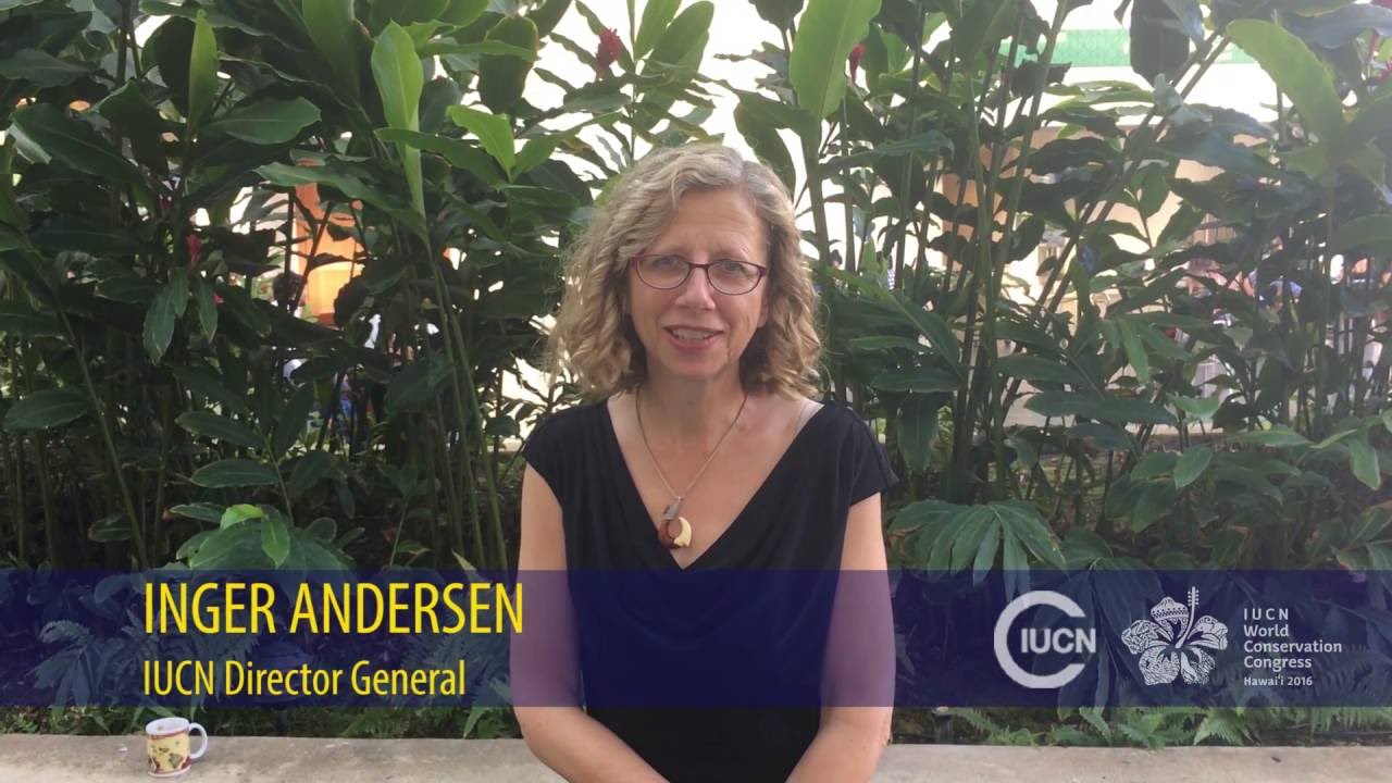 IUCN DG Inger Andersen at #IUCNcongress - YouTube