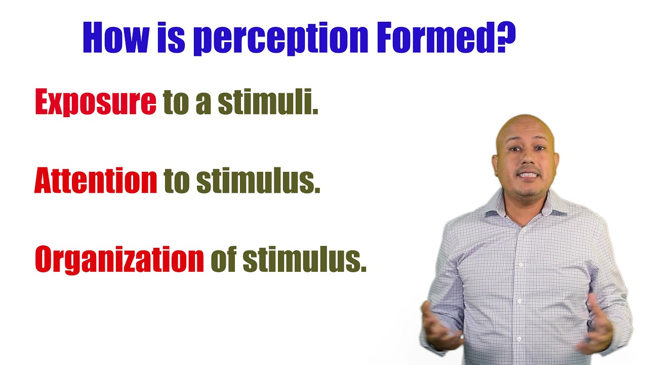 What is Perception? Understand the Perceptual Process. - YouTube