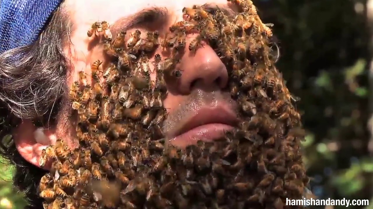 Andy's Bee Beard - YouTube